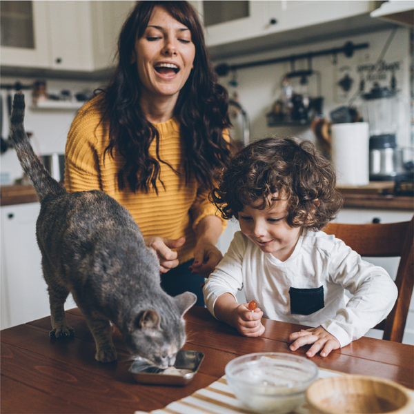 Home | Plenty Paper Towels
