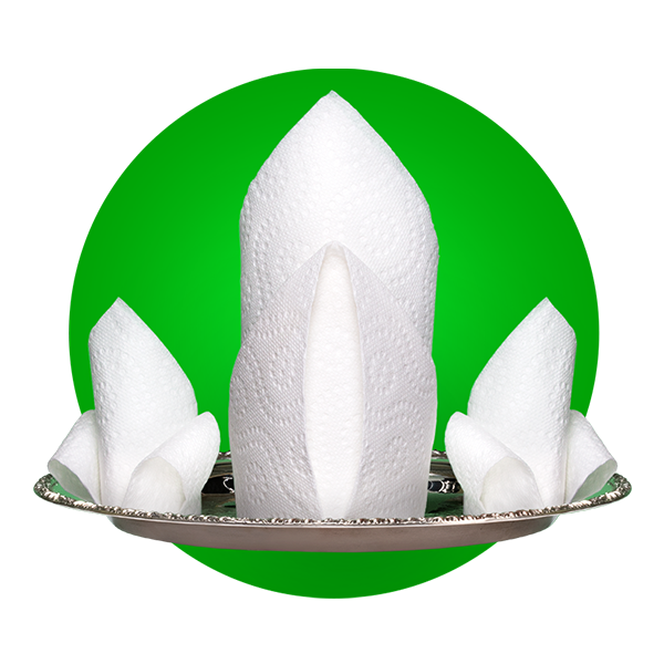 Home | Plenty Paper Towels